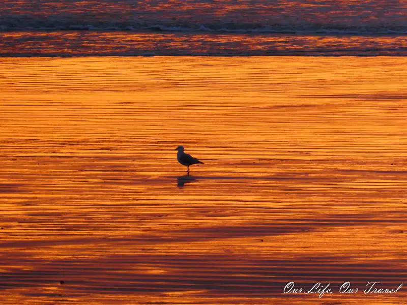 20+ Inspirational New Zealand Nature Photos (Autumn) - Our Life, Our Travel
